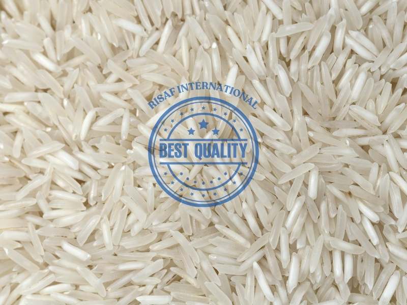 Risaf International Exporter